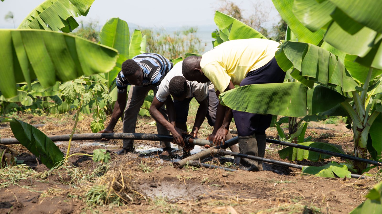 Initiative for Climate Action Transparency (ICAT) – UNEP-CCC