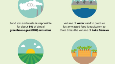 food waste graphic, Source: https://twitter.com/faostatistics/status ...